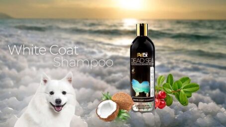 Home - Dead Sea Shampoo